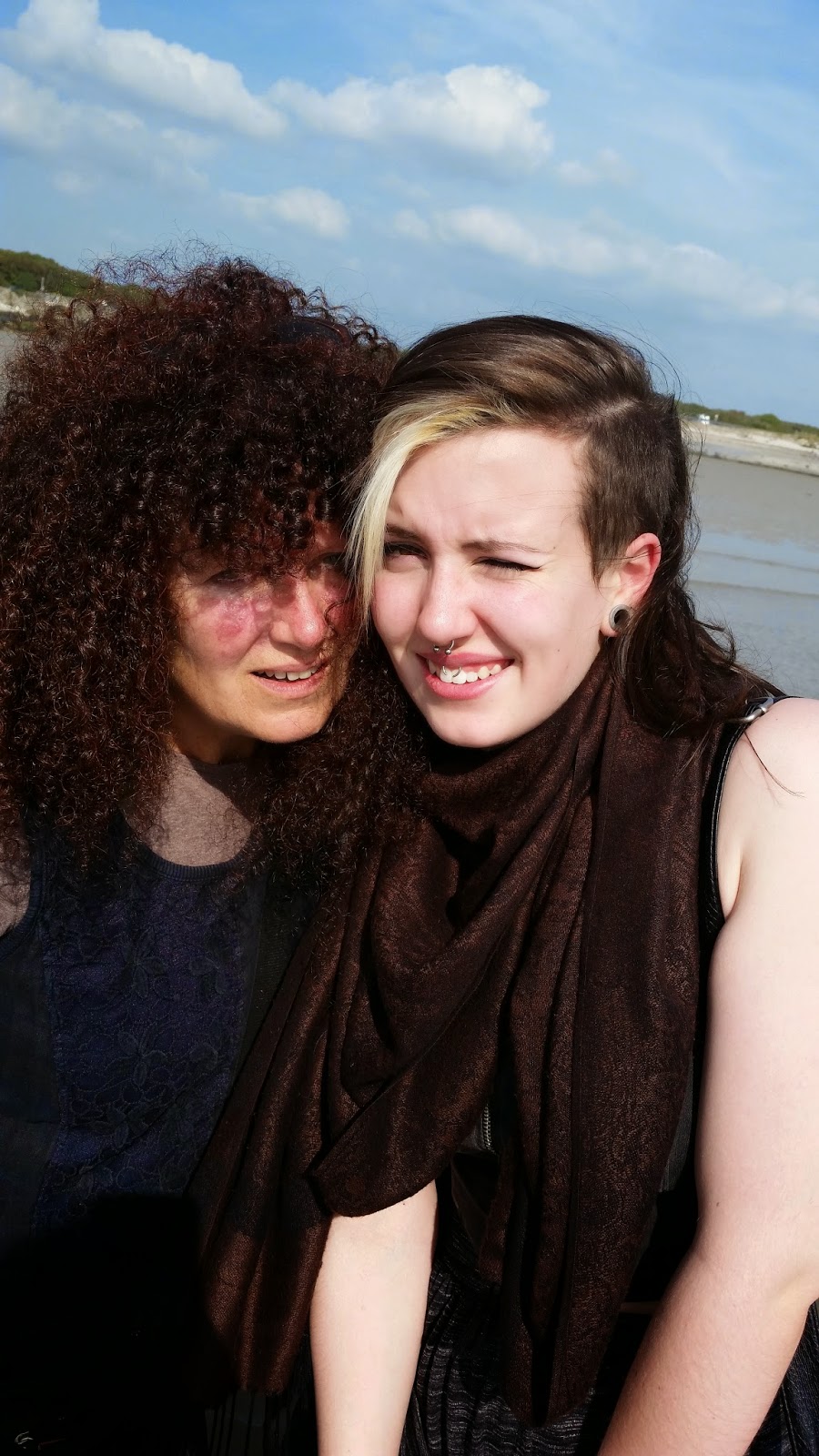 Janet Hyland's Paintings : Scribbles on Wood: SKELLIG MICHAEL