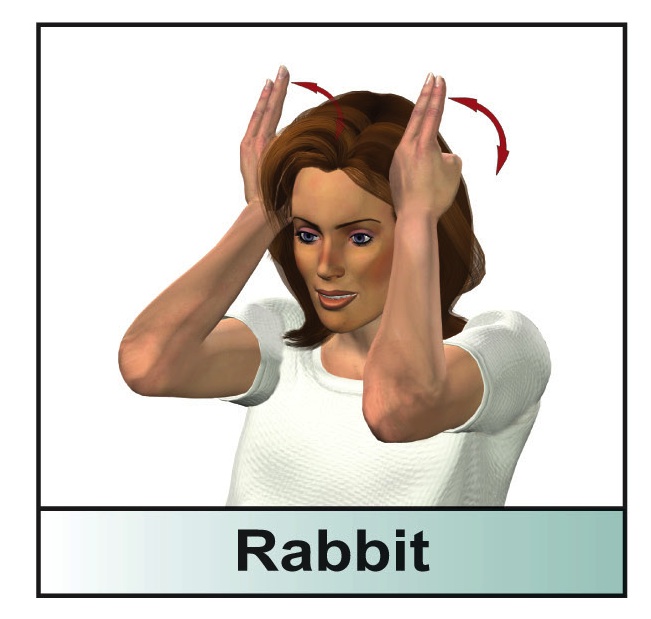 HearMyHands ASL: Easter book ideas with a signing twist! YES