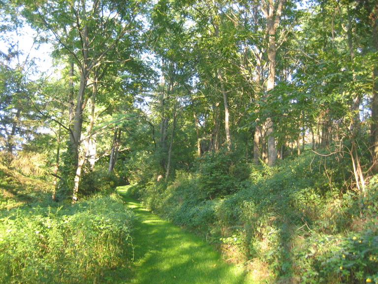 Central Pennsylvania Forestry: July 2012