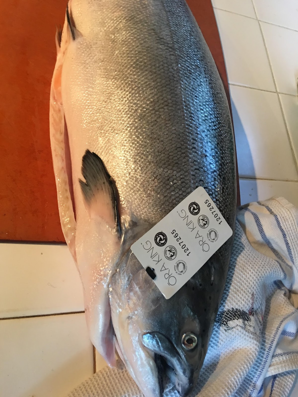 Order Up! with Logan: Wagyu of the Sea