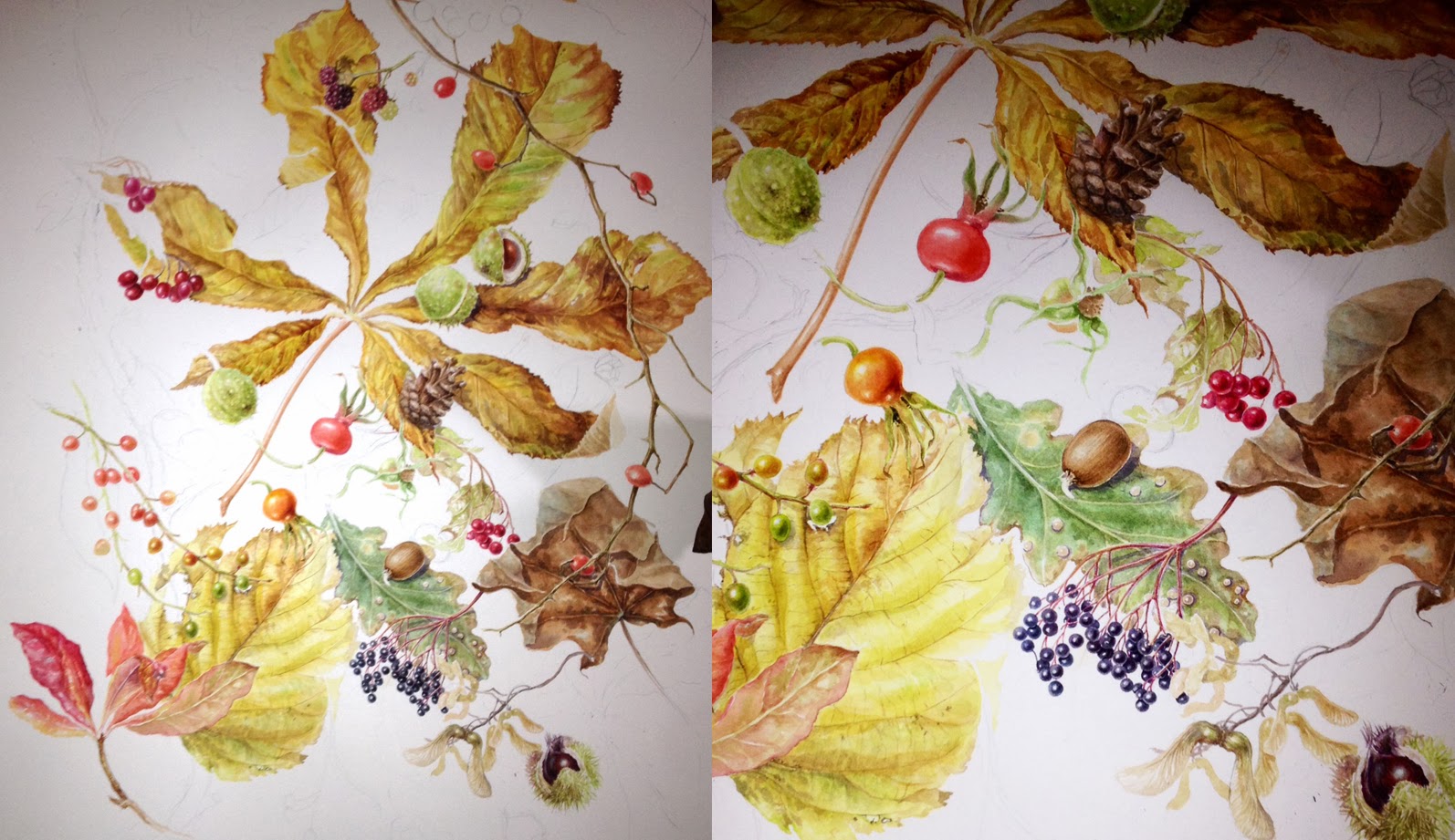 Dianne Sutherland: 2013