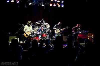 MIMOSA ARTS: Musician Spotlight: The Last Straw