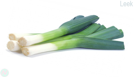 Vegetables Names with Meaning and Picture | Vegetable Vocabulary ...