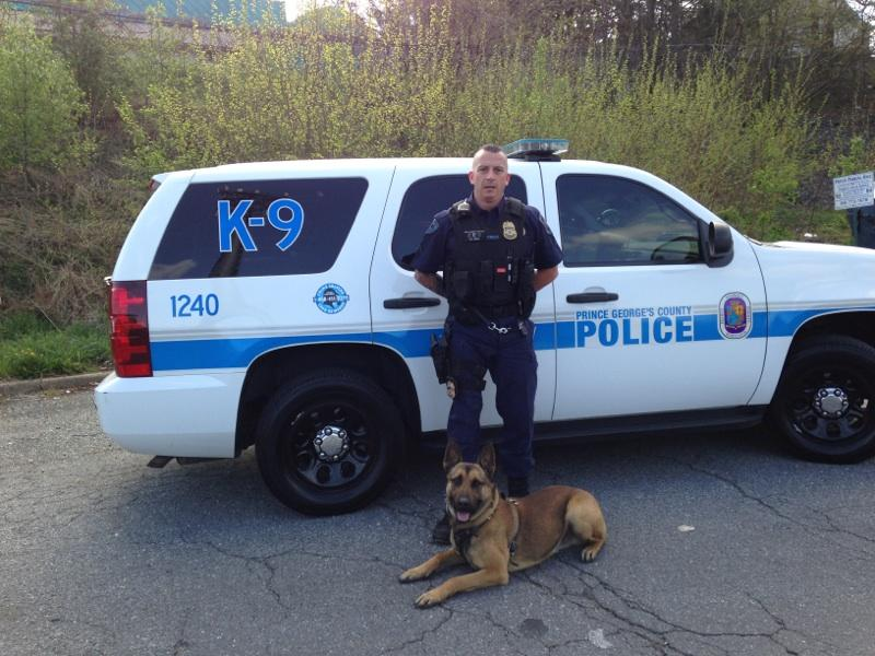 PGPD News: PGPD K-9 Teams Recover Four Guns and Track Down Robbery Suspect