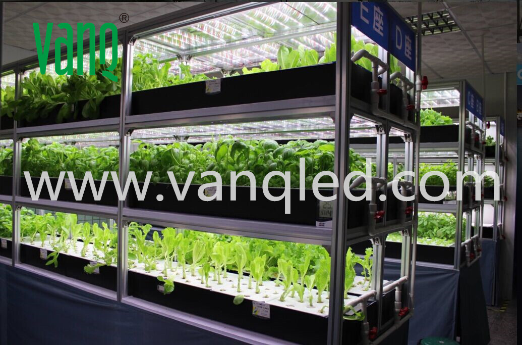 Introduction of Automatic Planting Production System For Hydroponic ...