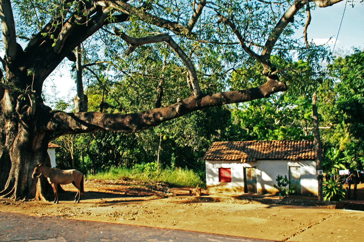 BRASIL REAL: TOCANTINÓPOLIS - TOCANTINS