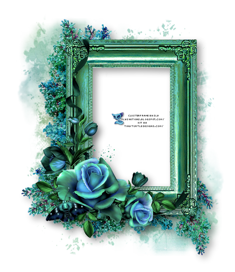 Sly's Notions: FTU Cluster Frame