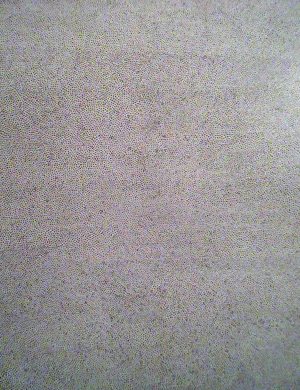 modernist aesthetic: Yayoi Kusama