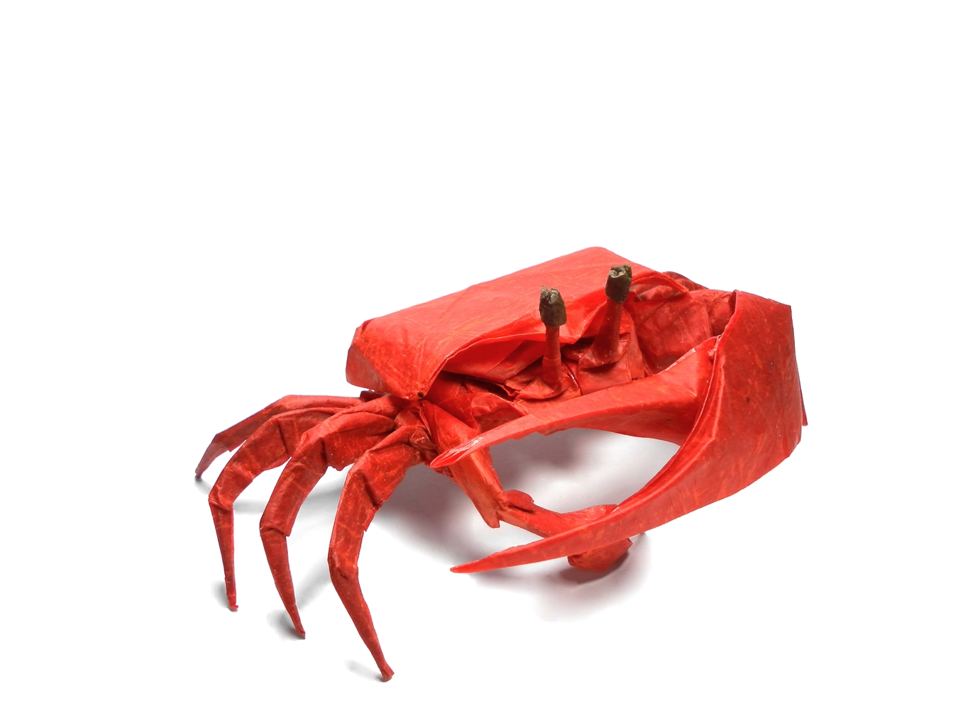 Mariano-Mi mundo el Origami: Fiddler Crab