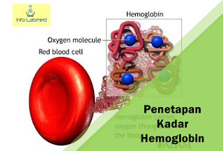Penetapan Kadar Hemoglobin