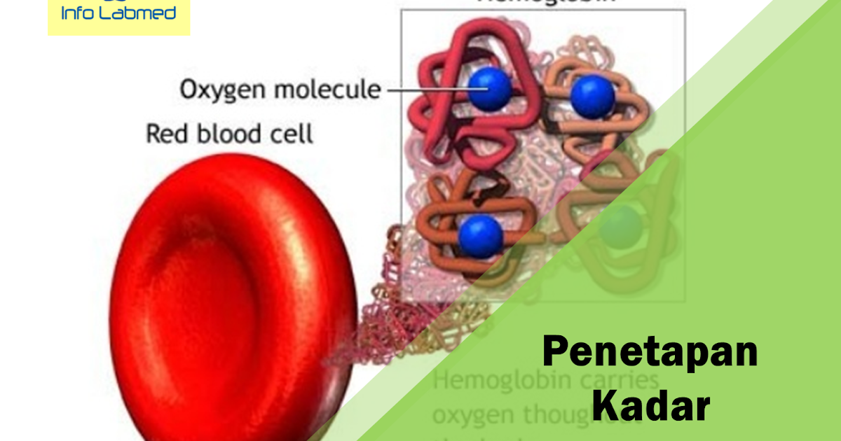 Penetapan Kadar Hemoglobin