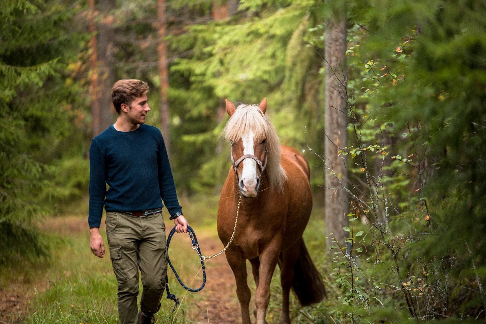 Livet på Sagobacken: Vår nationalhäst finska hästen