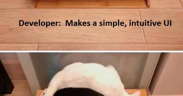 Developer: makes a simple, intuitive UI, users: