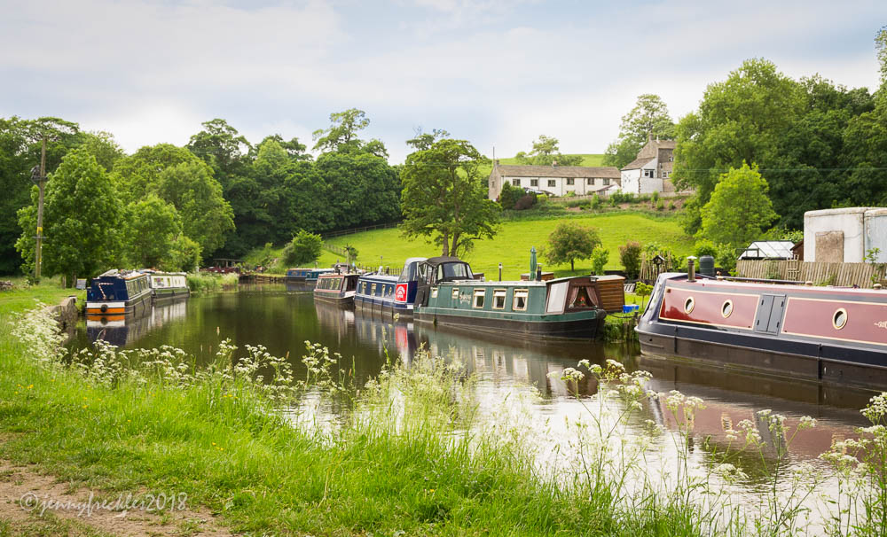 Saltaire Daily Photo: Gargrave walk 4