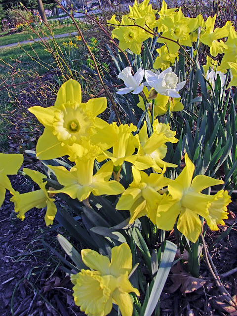 Gatsbys Gardens: Around The Garden