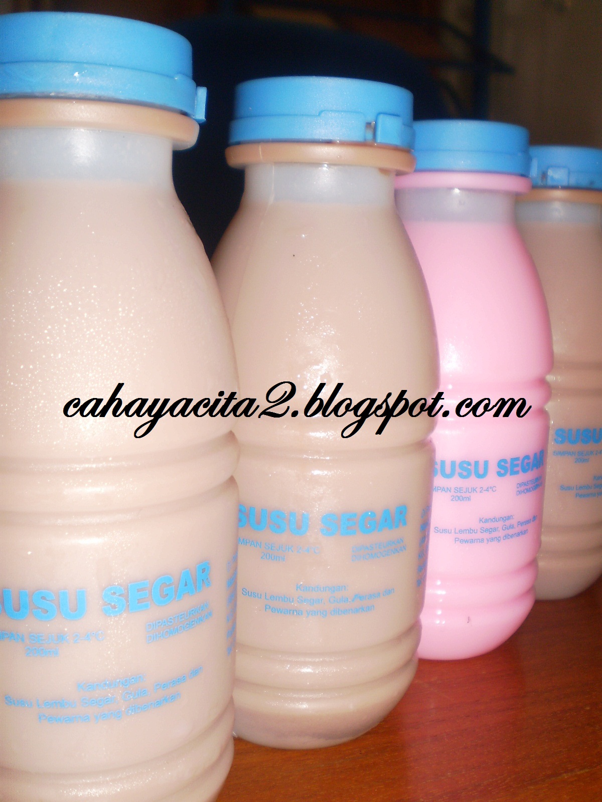 Susu Segar ::. | :: AKU,CINTA & CITA-CITA ::