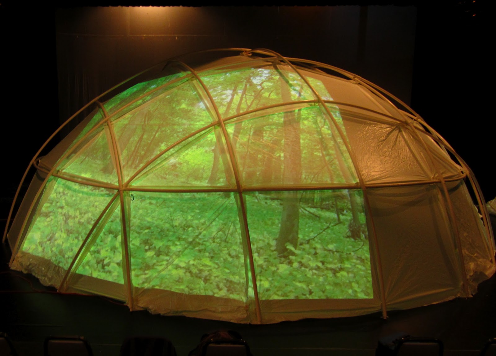 Merián Soto/ Branch Dances: SoMoS: The Branches