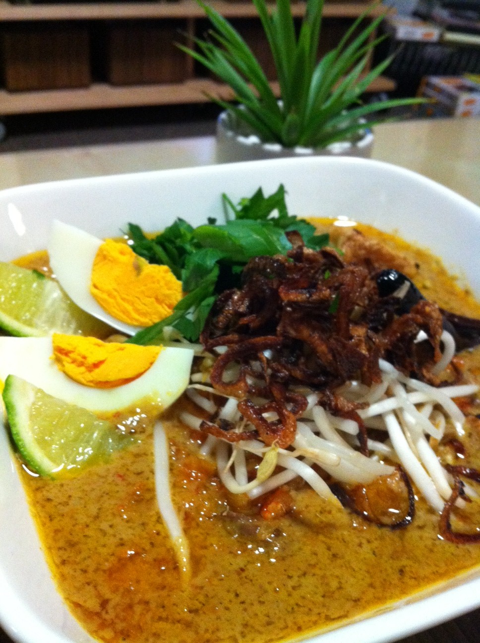 Dishing Up The World: Laksa with Beef and Dried Prawns (Guay Tio Kaew)