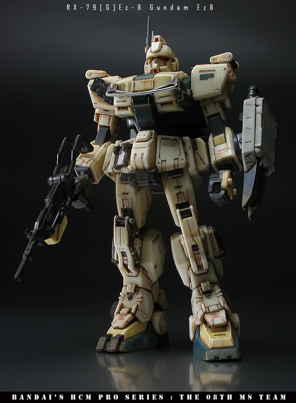 HCM Pro 08th MS team photographs and digiramas part 1