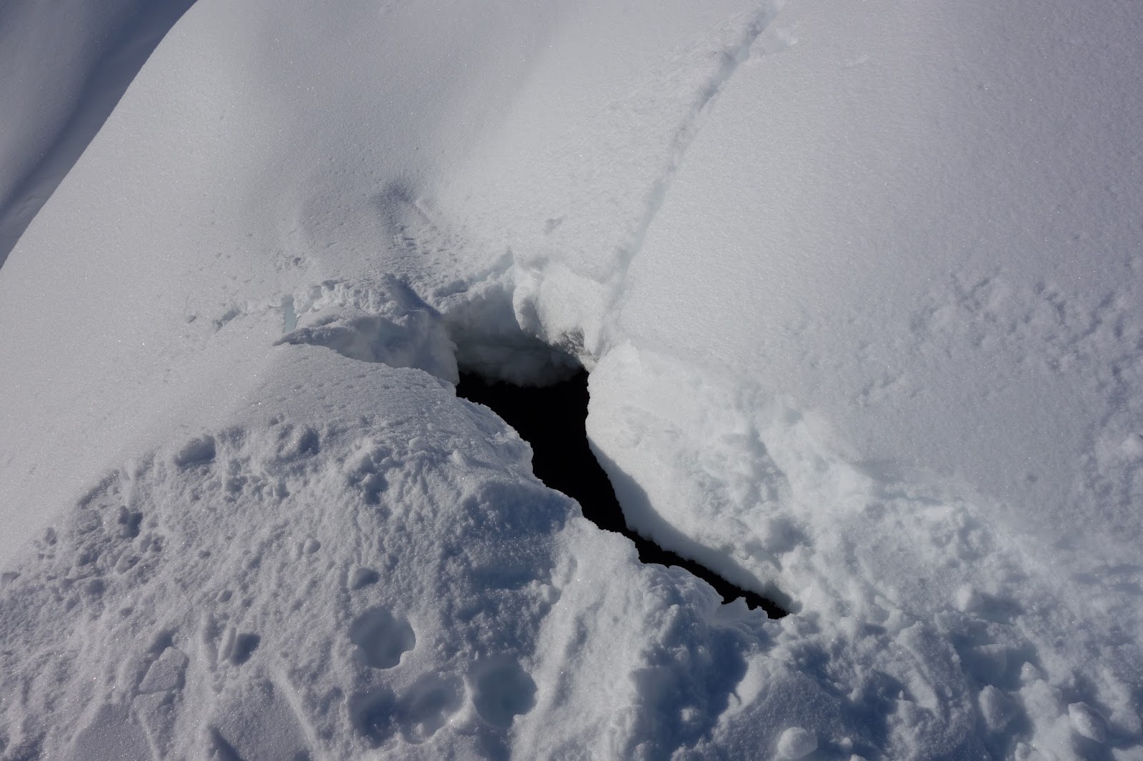 Skagit Alpinism: Spring in North America - Skiing and Crevasse Falls!