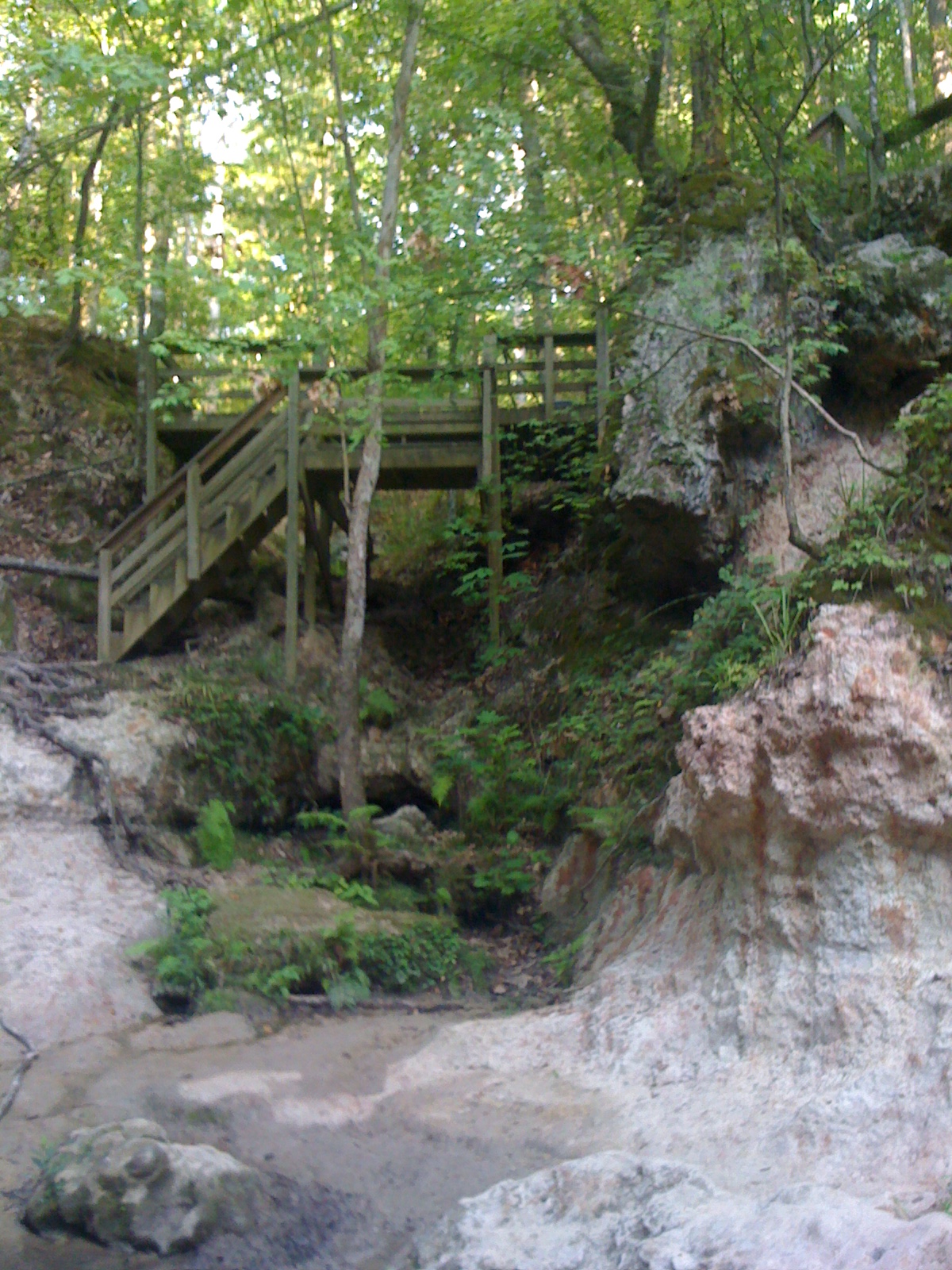 Everyday Adventures: Clark Creek Natural Area