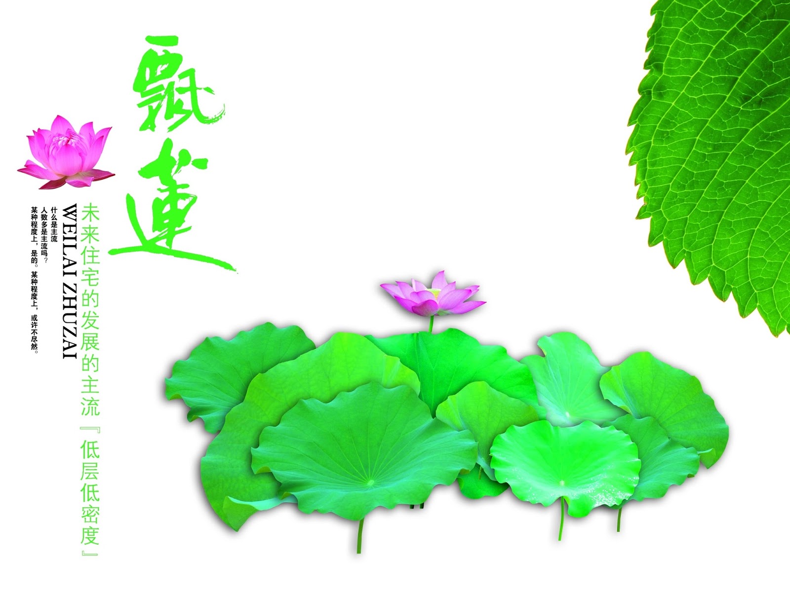 vietsinhvienit: vector hoa sen