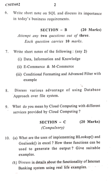 Amity University CSIT602 Information Technology for Managers Nov Dec ...