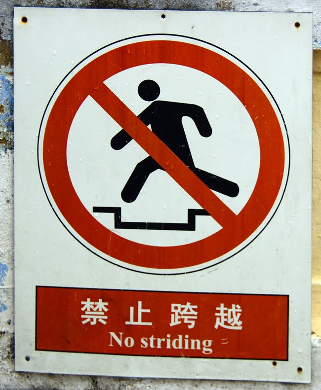 GEOFF NICHOLSON: THE LONG LOST WALKER: SHELTER FROM THE STORM KING