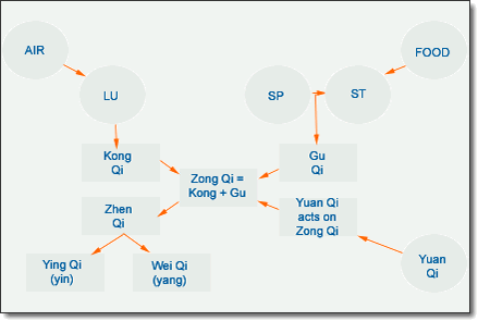 CHINESE MEDICINE BRISTOL: Conscious breathing: living beyond survival