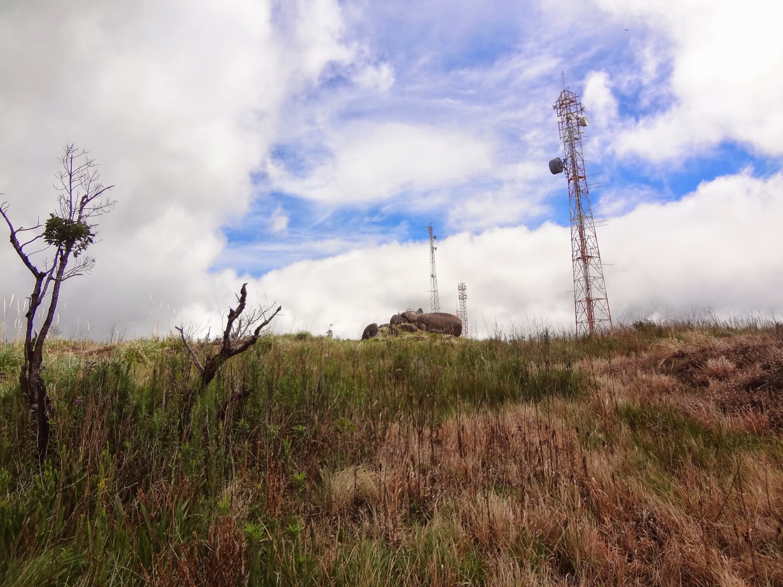 Prof. Fernando Bonato: Breve relato ambiental do Morro do Capivari