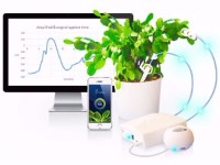 A bad witch's blog: Science Shows How to Communicate with Plants