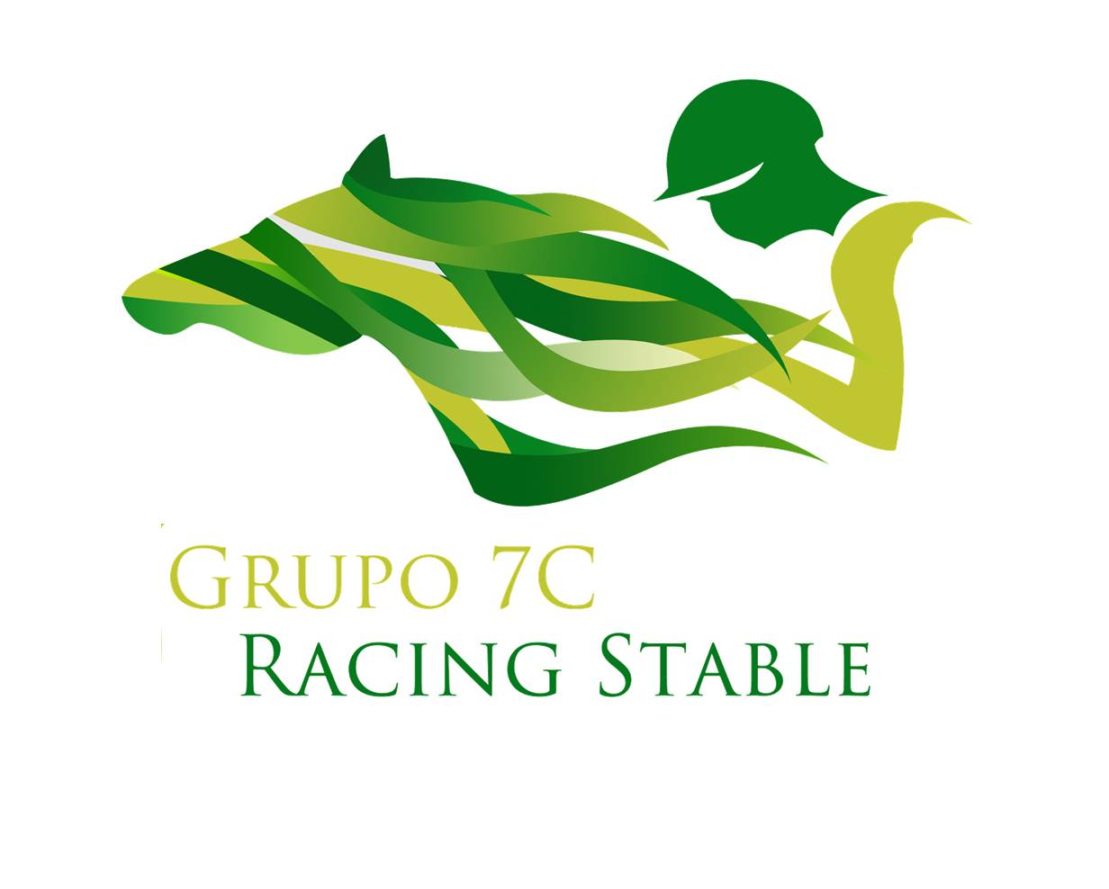 GRUPO 7C RACING STABLE, CORP : José Javier Castellano a los libros de ...