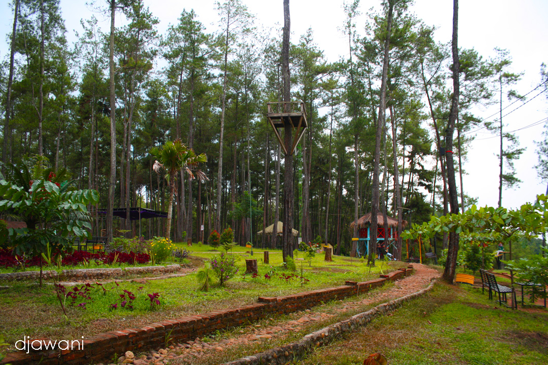 Kemit Forest Sidareja Cilacap Sudah Usang?
