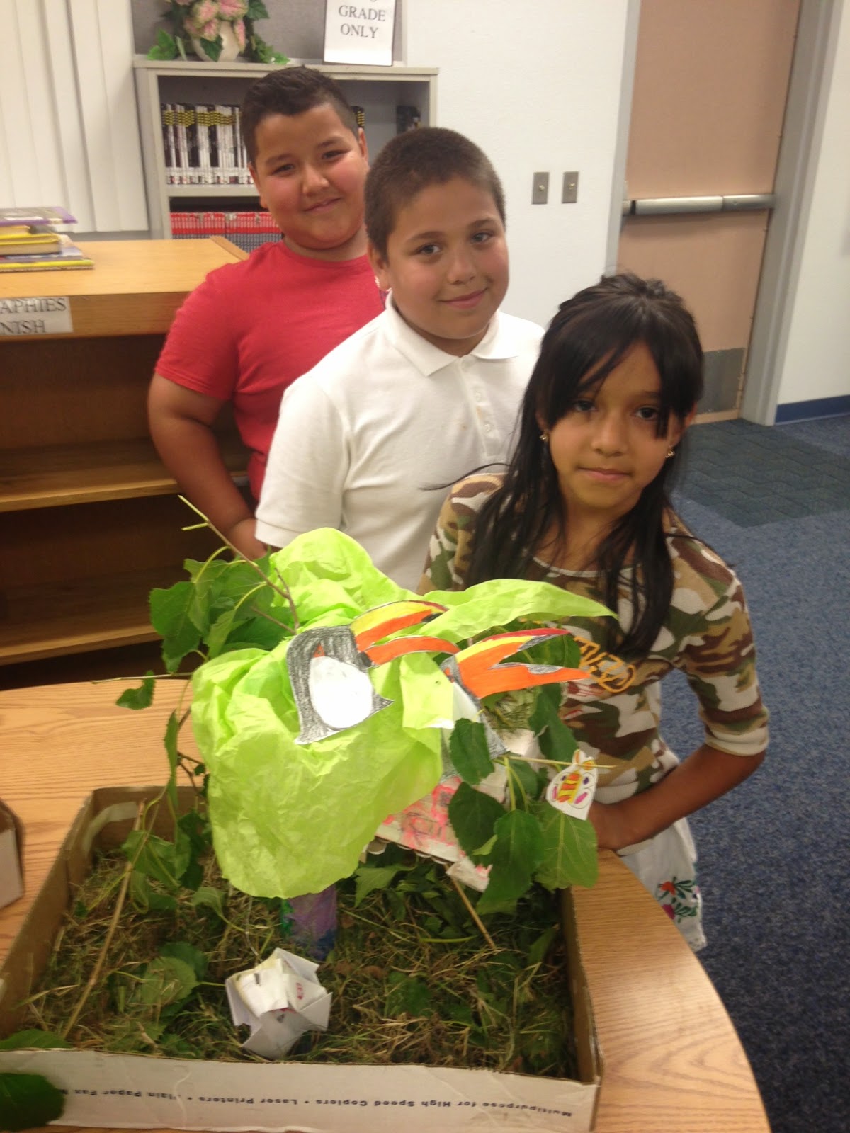 Third Grade with Room Nine: Welcome to the Rainforest
