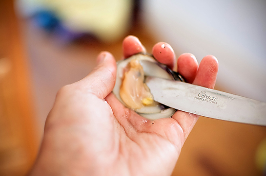 Feeding Andy: How to Open Clams