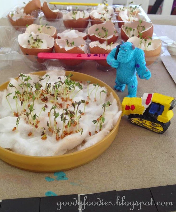 GoodyFoodies: Kids Gardening/Crafts Project: Cress Egg Heads