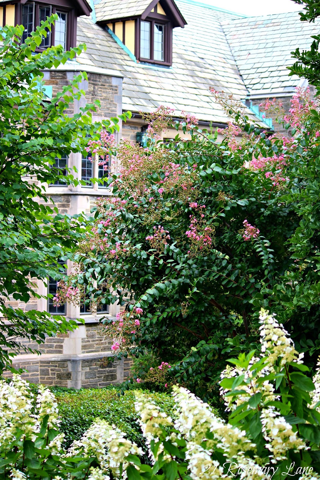 21 Rosemary Lane: Palmer Square and Princeton University