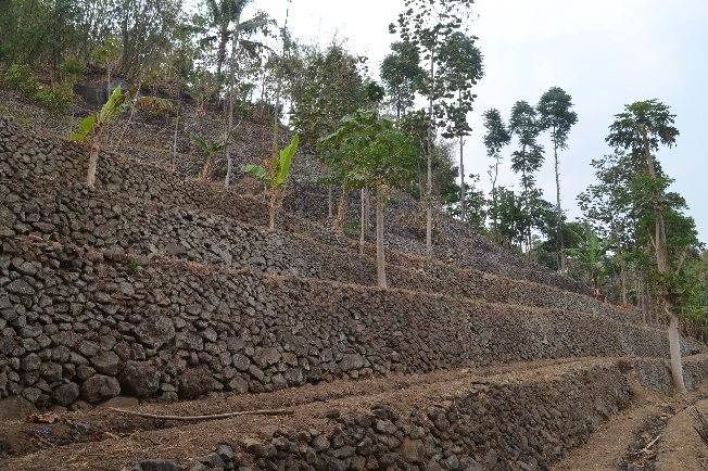 PERTANIAN: Berhubungan Dengan Tanah