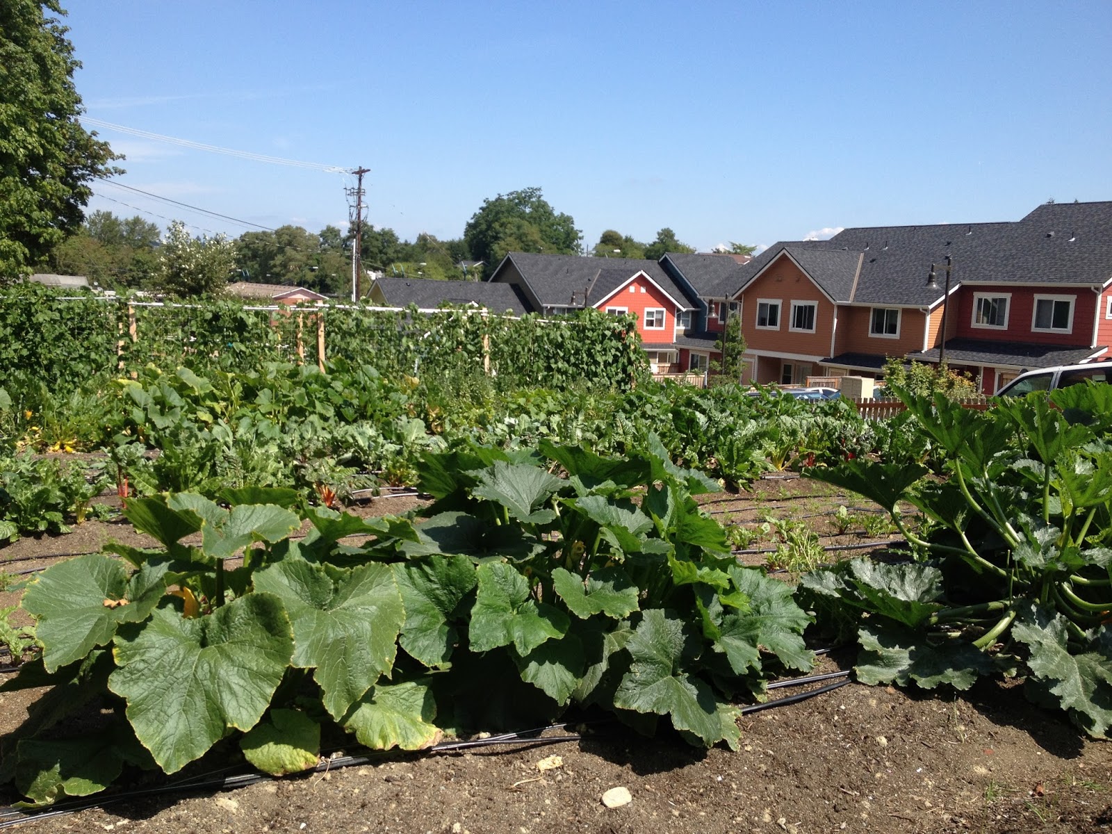 Washington Food Coalition News: Seattle Food Committee Van Tour