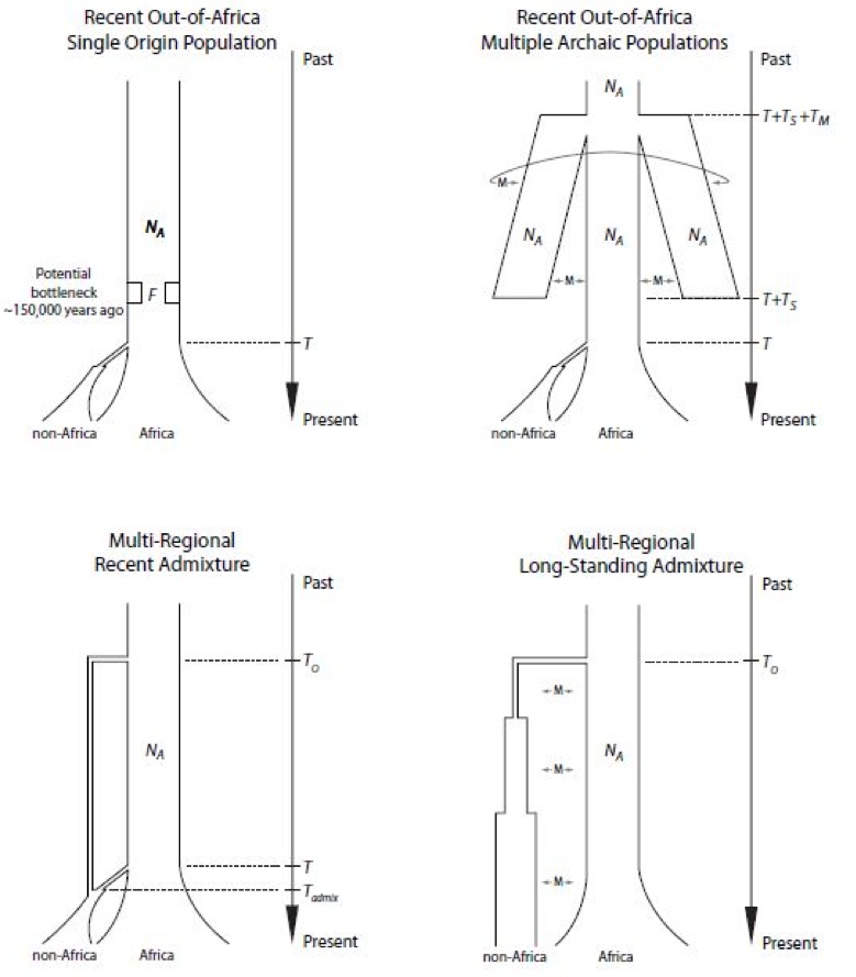 Just Genesis : Genesis and Molecular Genealogy