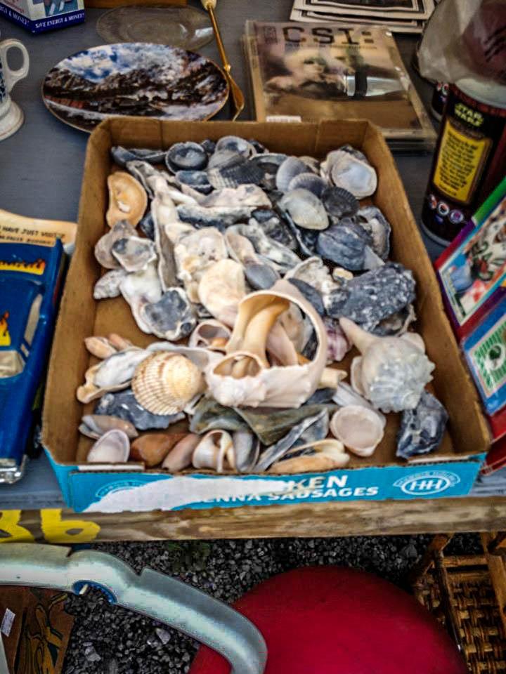 Flea Market Oddities of PA: The Trip That Started It All
