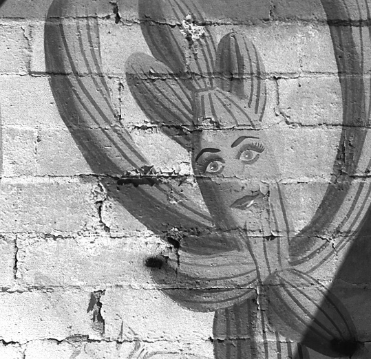 Weeds and Walls: Photography