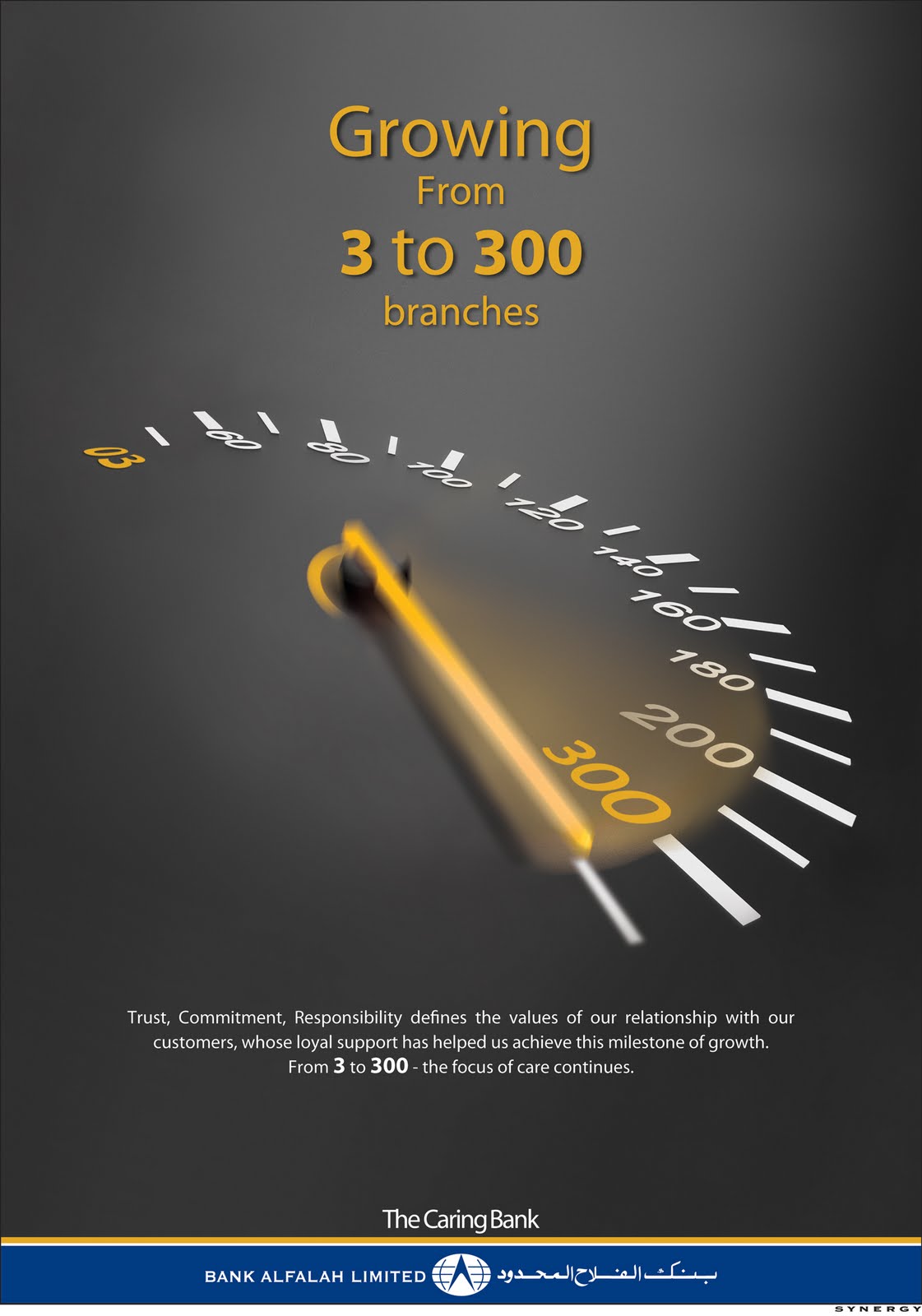 Synergy Advertising (PVT) Ltd: Miscellaneous Print Ads