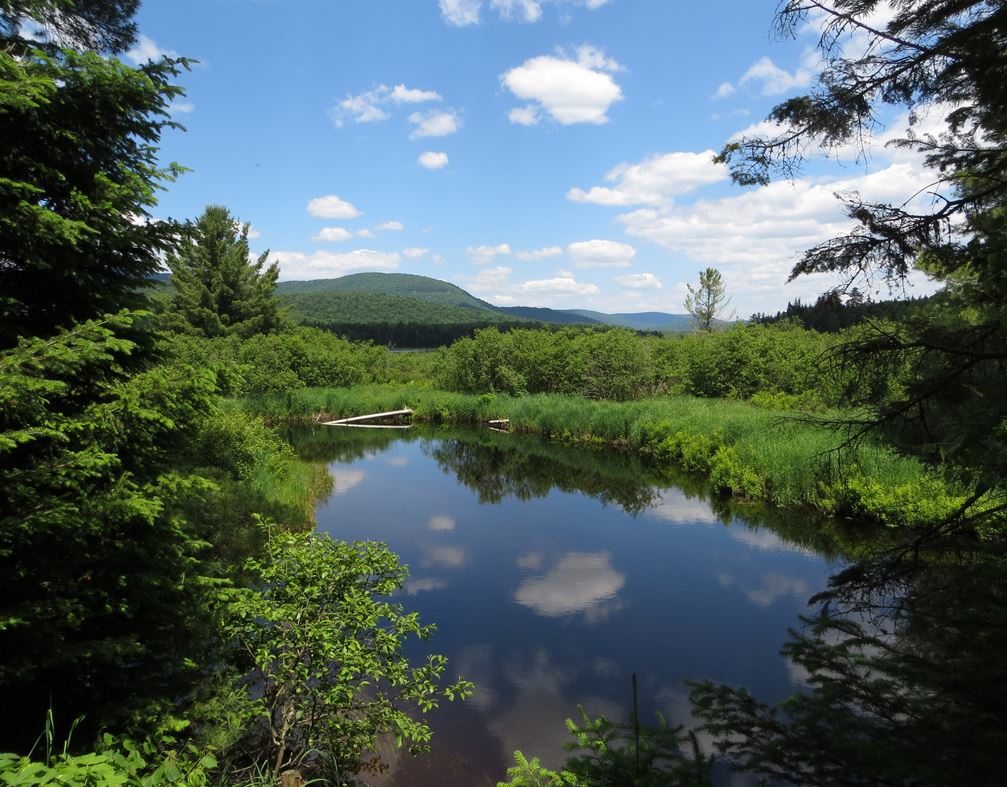 A Little Wild: A Busy Summer of Hikes and Water Trips - Kayaderosseras ...