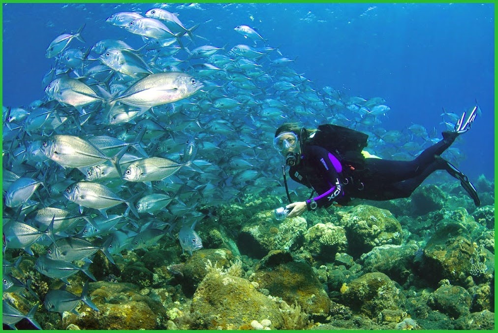 Enjoying the Attraction of Bali Tulamben Diving