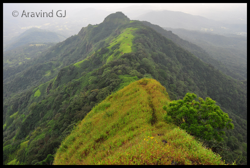 Treks and travels: Amboli