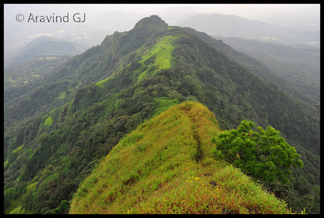 Treks and travels: Amboli