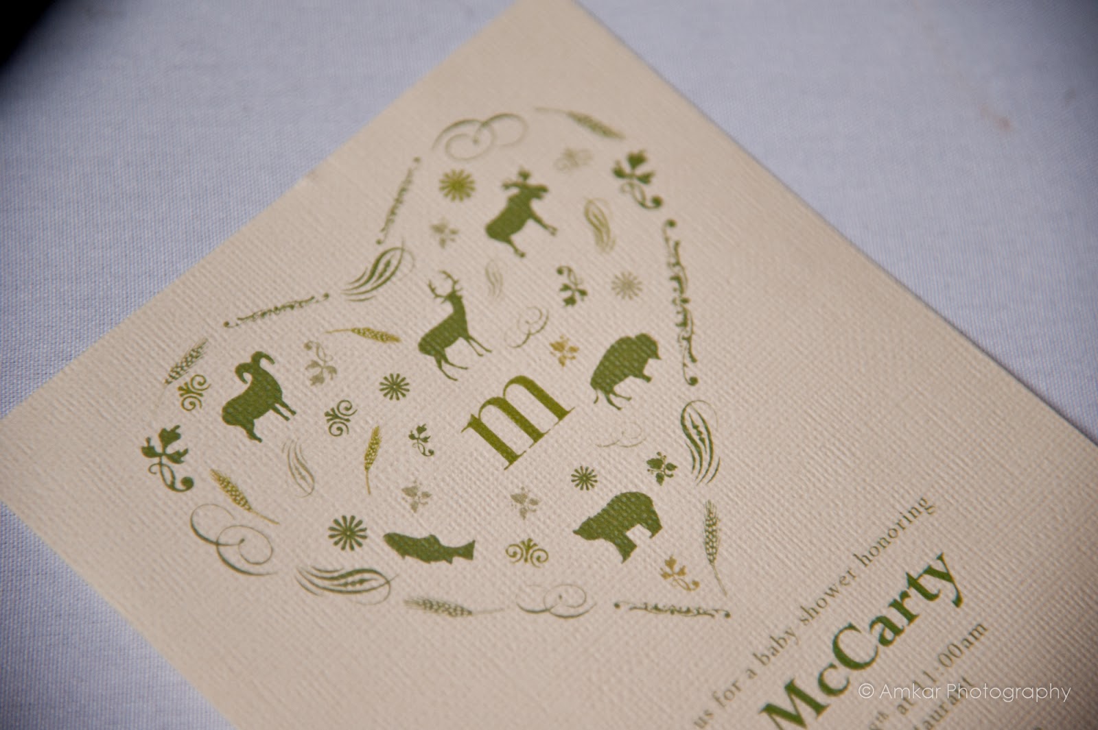 Running from the Law: Mac's Rustic Baby Shower