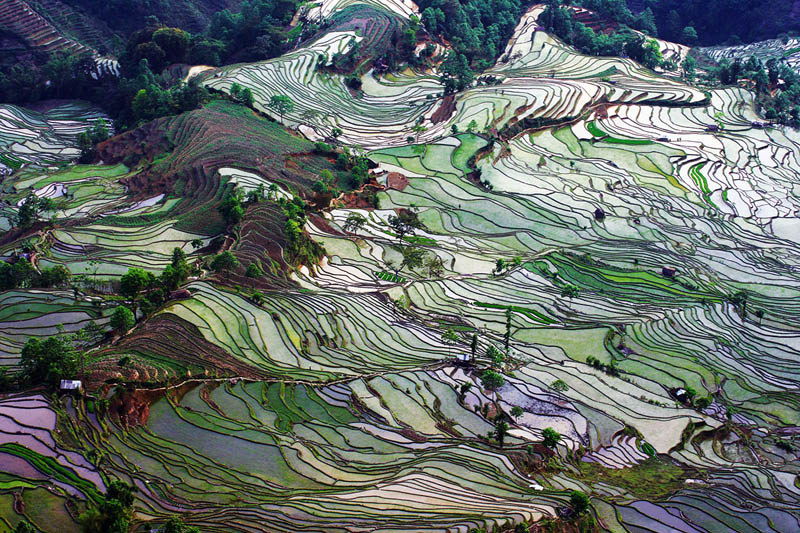 bensozia: Honghe Hani Rice Terraces, China