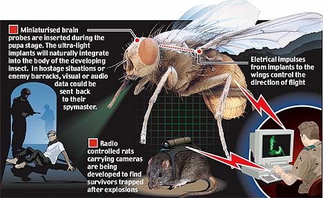 Robot with a Rat Brain and Other Cyborgs | HISTORIES OF THINGS TO COME